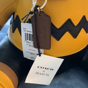 Coach | Other | Nwt Coach X Peanuts Limited Edition Charlie Brown Bear ...